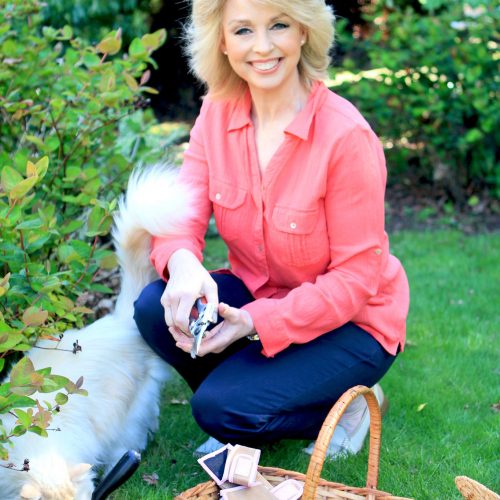 Julia Betts | Morello Bookings