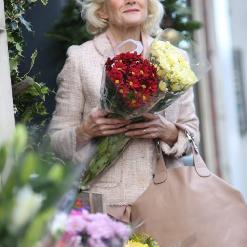 Sallyann Webster | Morello Bookings