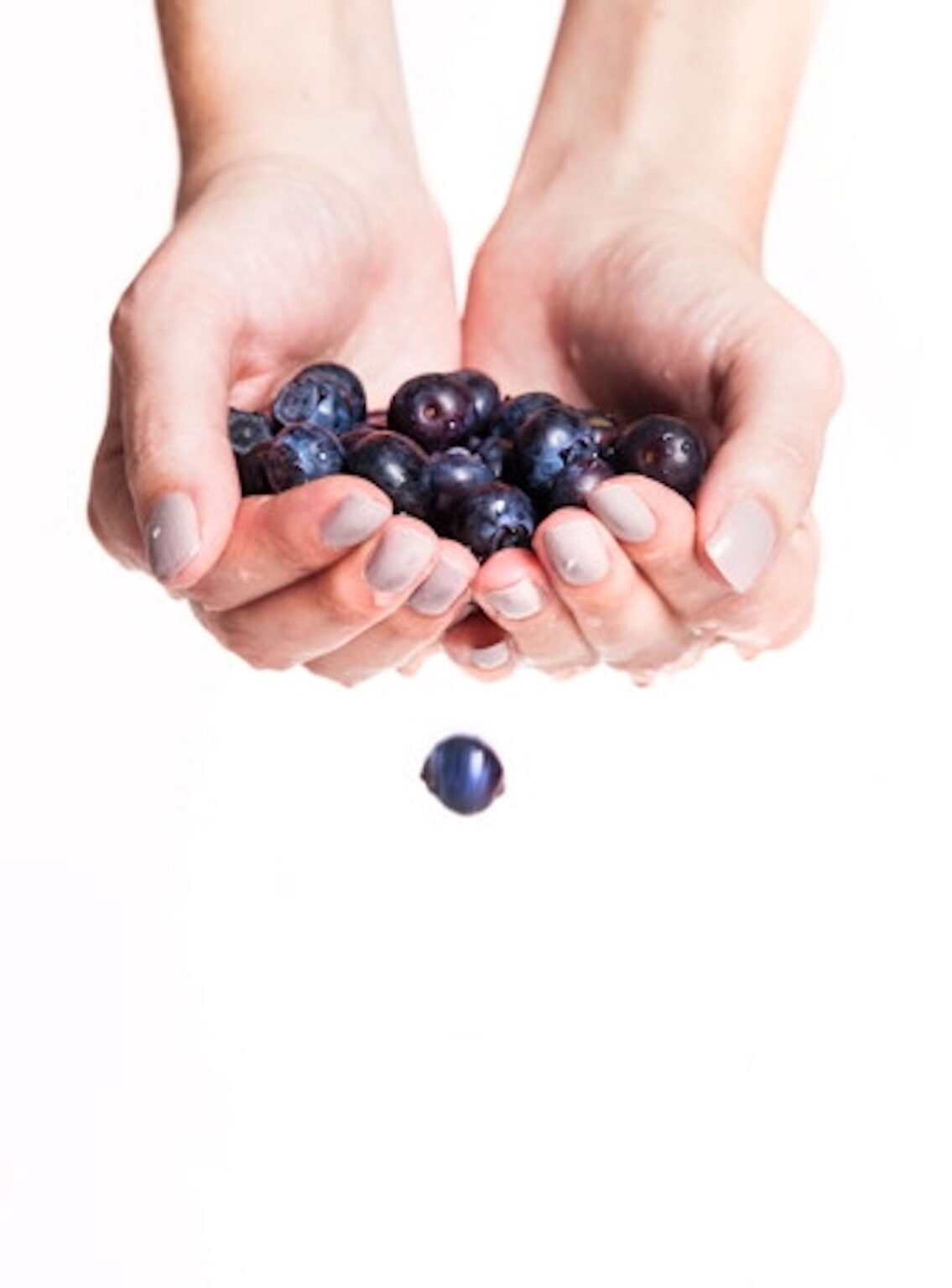 Hayley Thomas | Morello Bookings